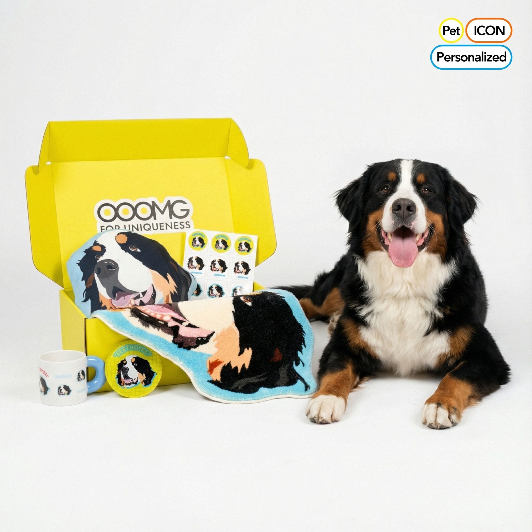 Custom Gift Set for Pets Box B - “Pawfect Home Decor” – OOOMG